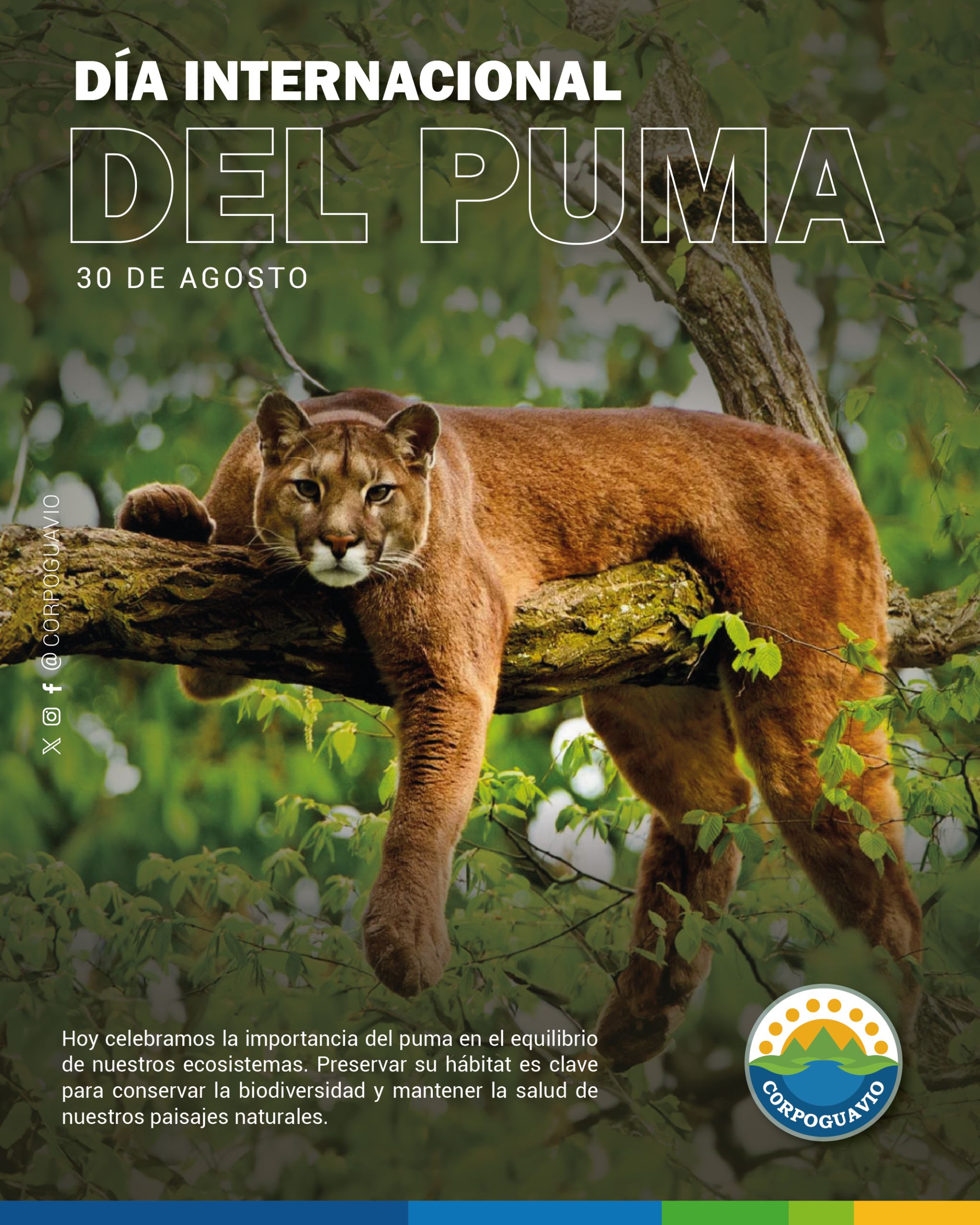 Eventos en diciembre 2025 – Corpoguavio